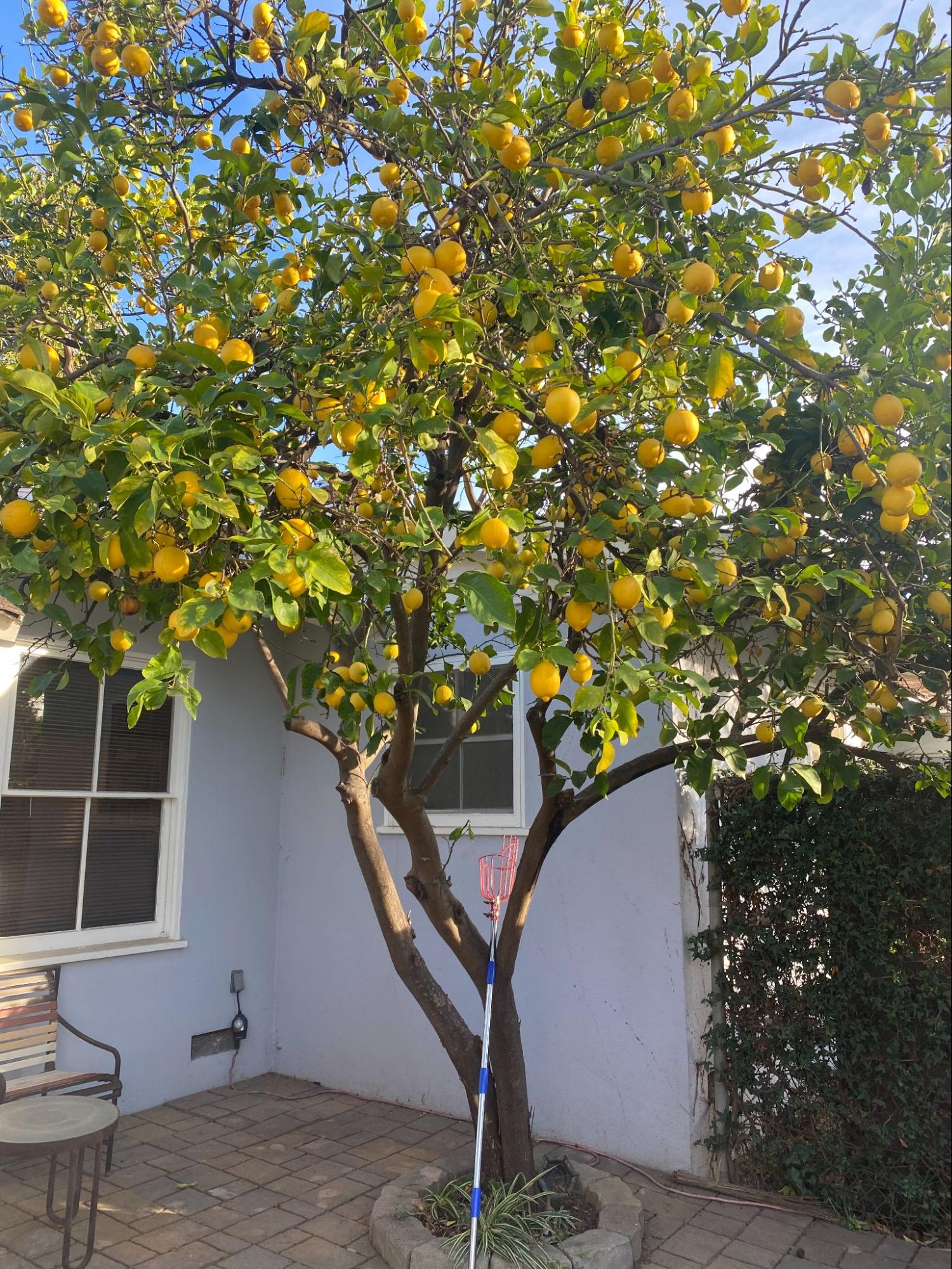 Welcome to Orange Grove Home